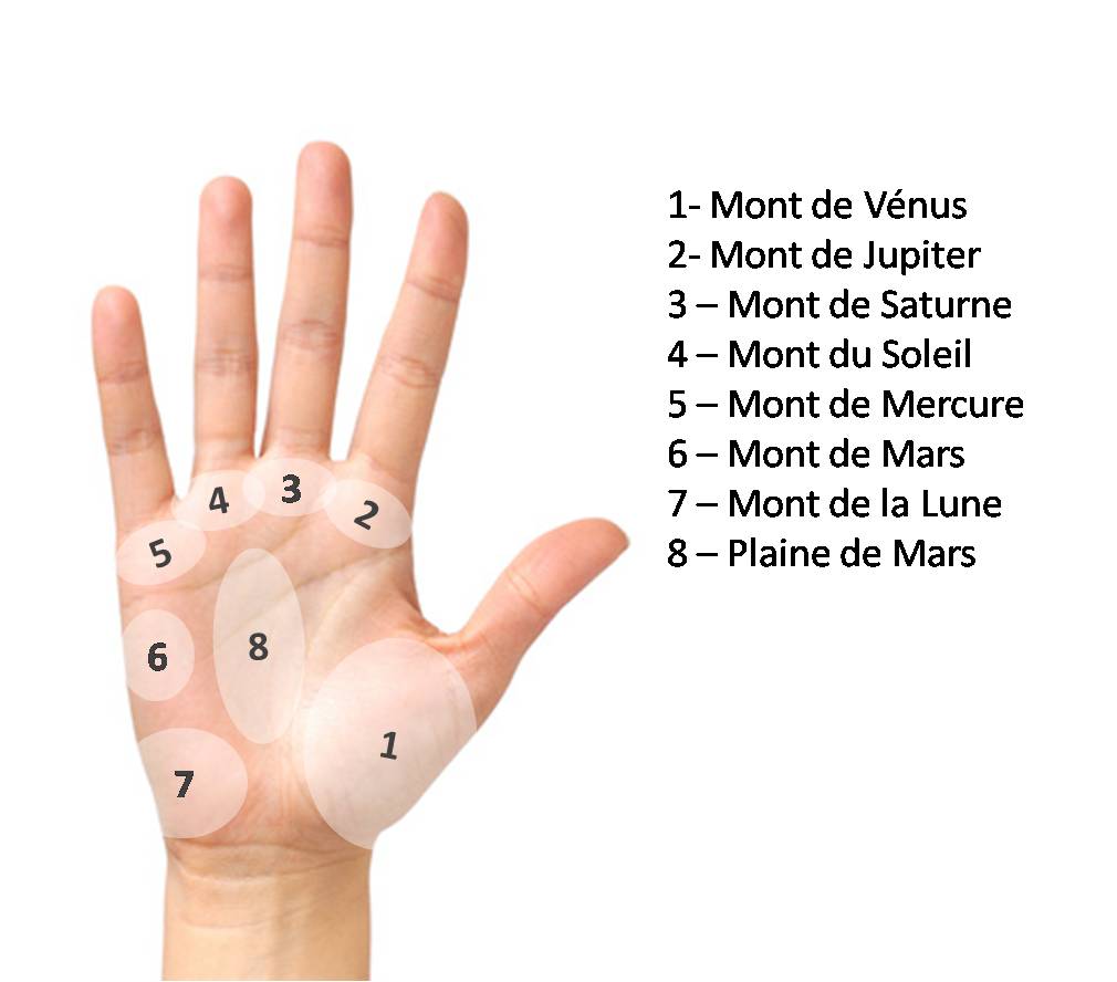 Les Doigts De La Main Signification Ongle Montpellier